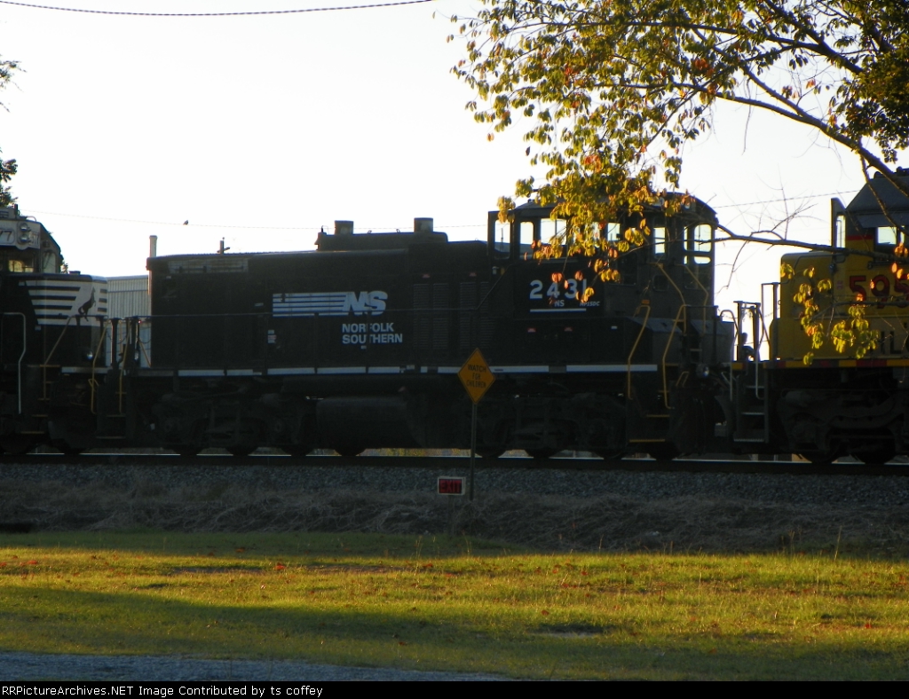 NS 2431